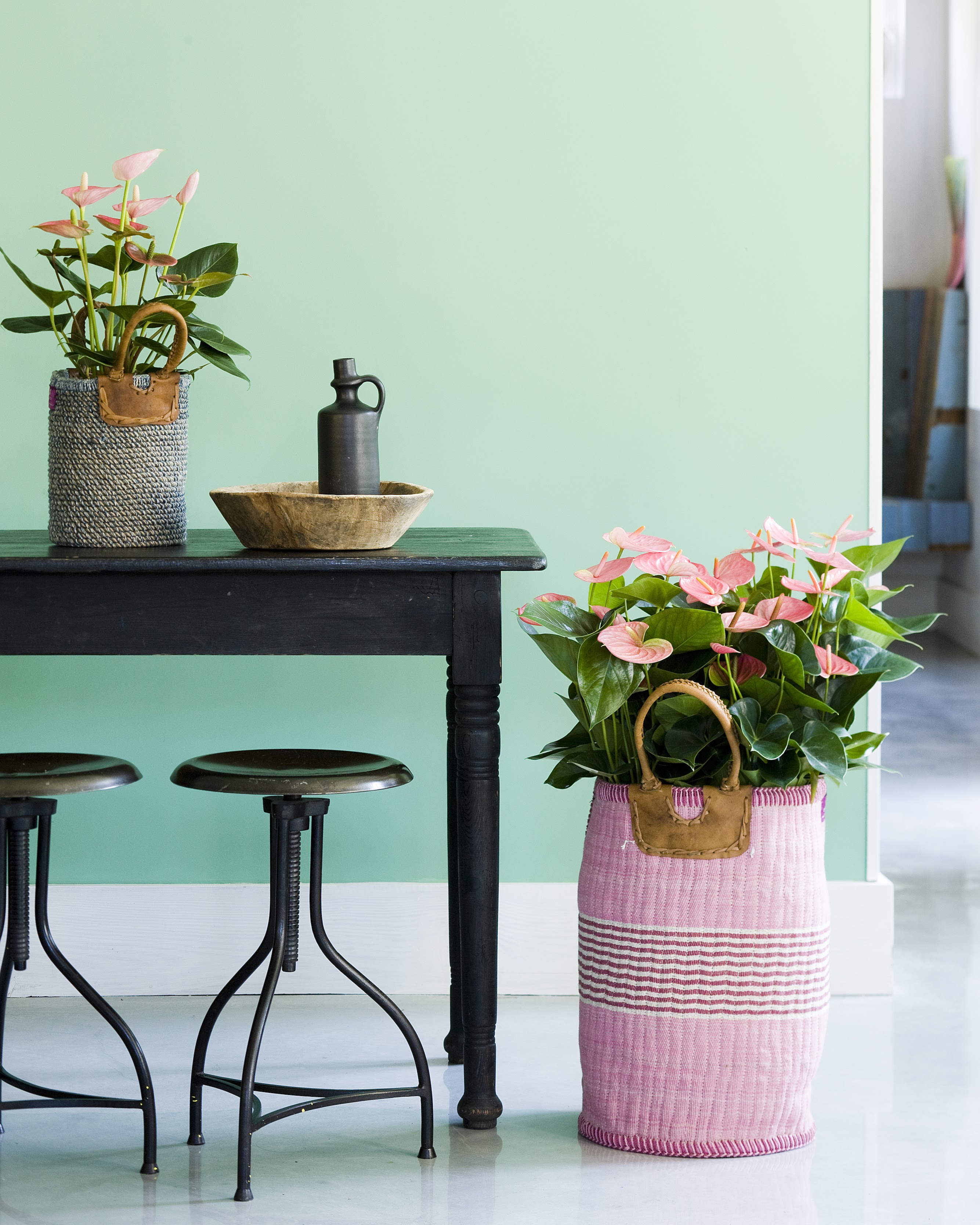 Anthurium_plants_care_tips_flowers_falmingo_flower_flamingo ...