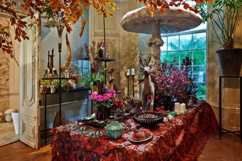 Experience the autumn with anthuriums at the new multi-sensory event by ...