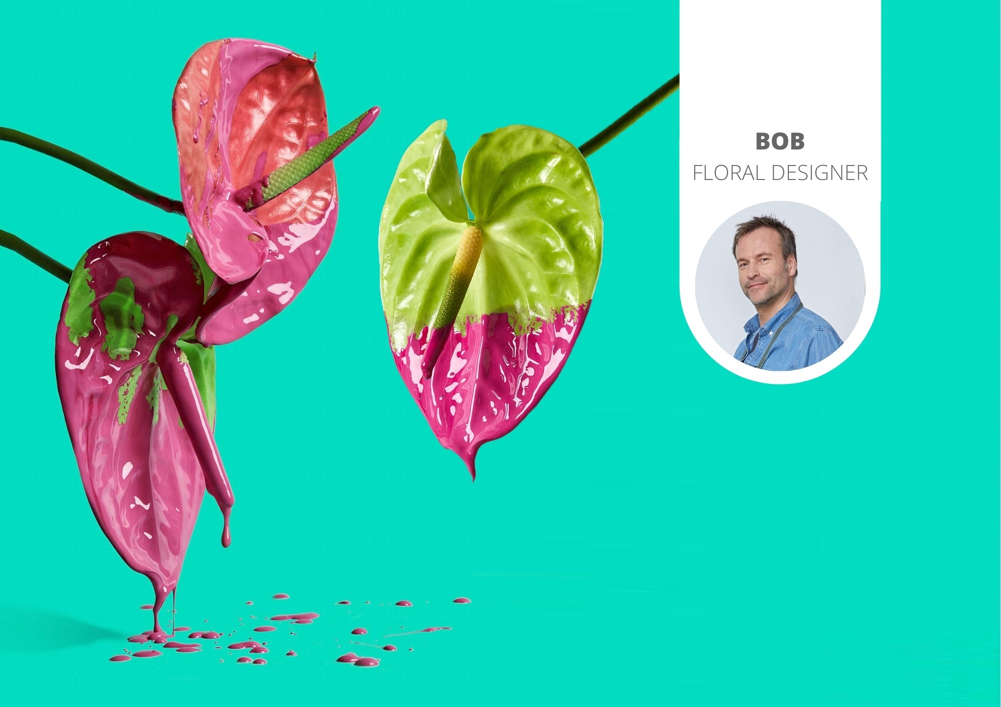 The newest floral trend: painted Anthuriums - Anthurium English