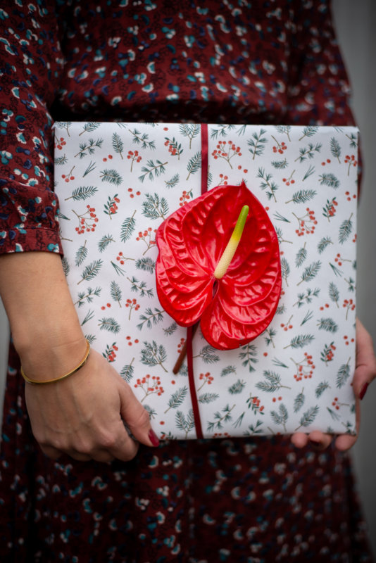 How to use Anthuriums to wrap gifts beautifully