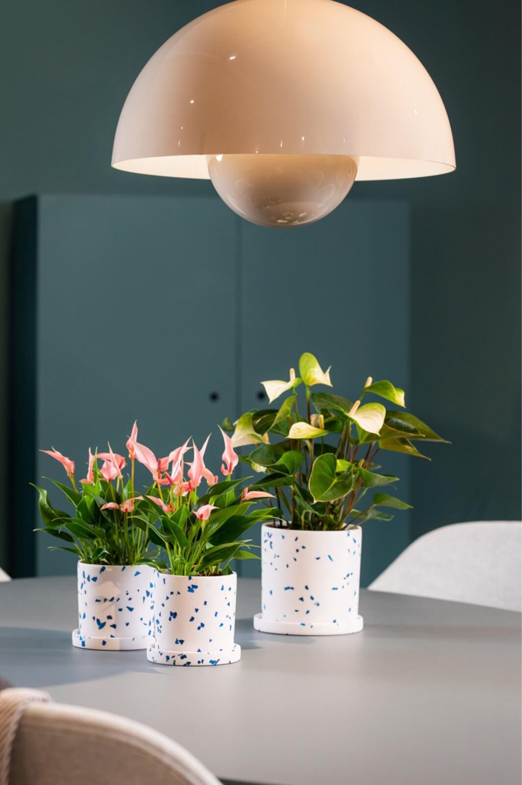 Ginger Gold is the color of the year 2022 according to Karwei