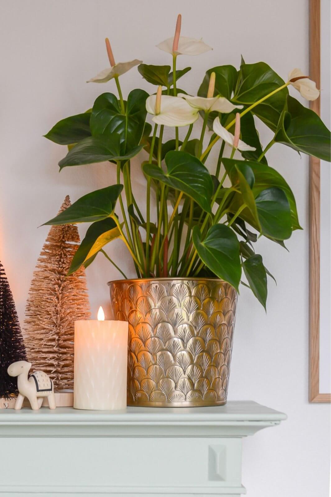 Ginger Gold is the color of the year 2022 according to Karwei