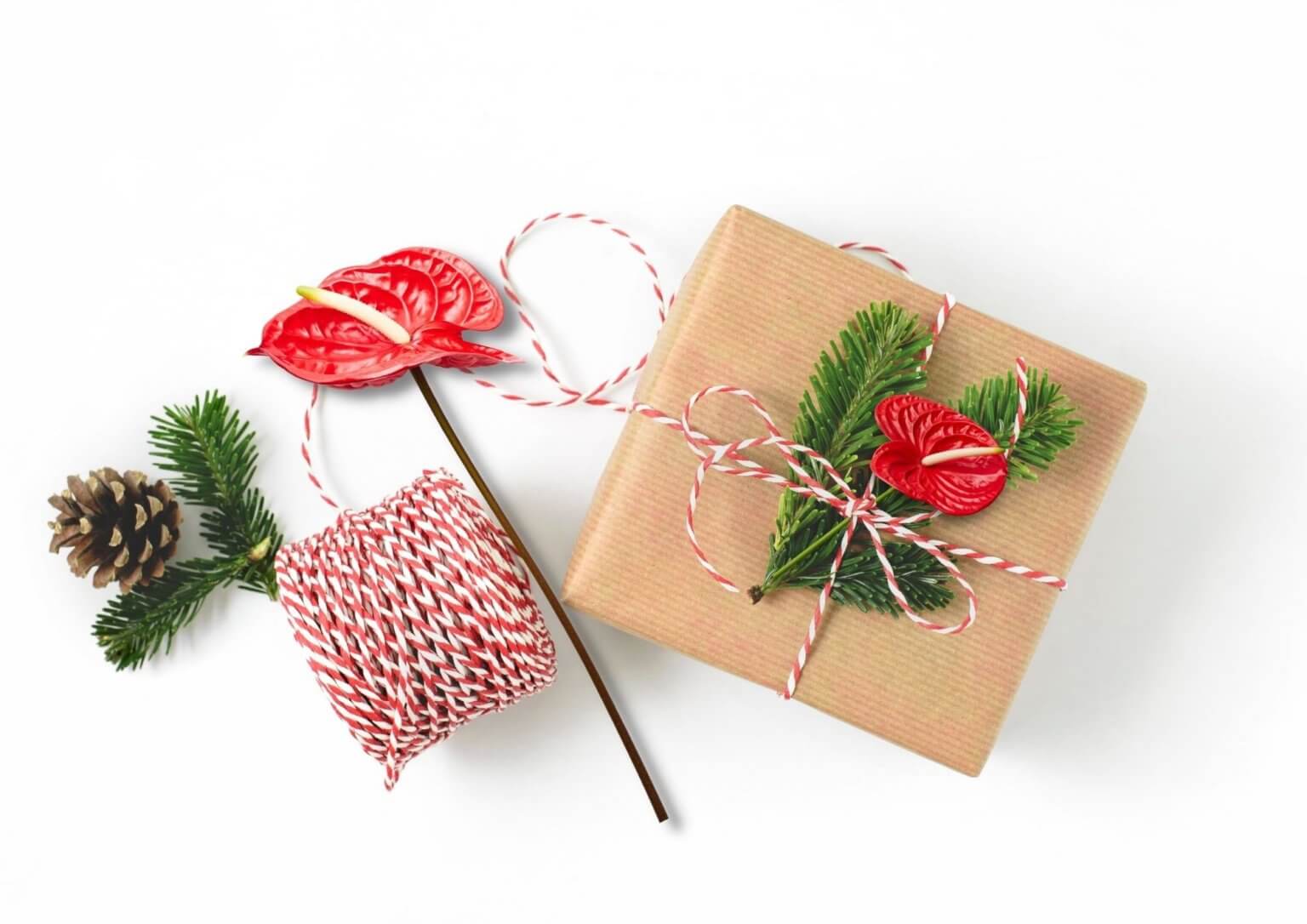 How to use Anthuriums to wrap gifts beautifully