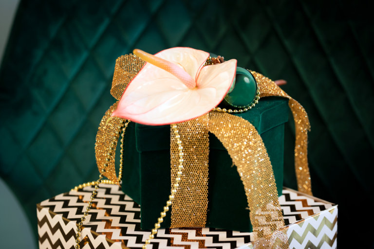 Anthuriums for added glamour at Christmas