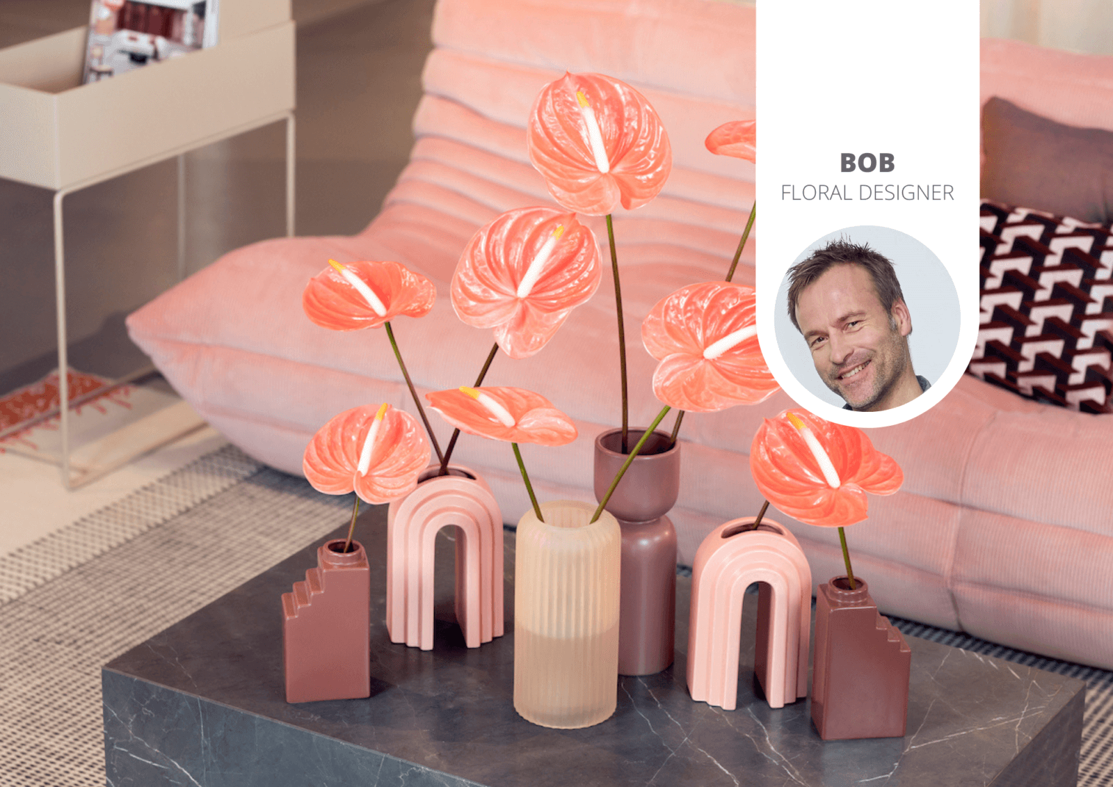 Anthurium Info - All about Anthurium cut flower and pot plant