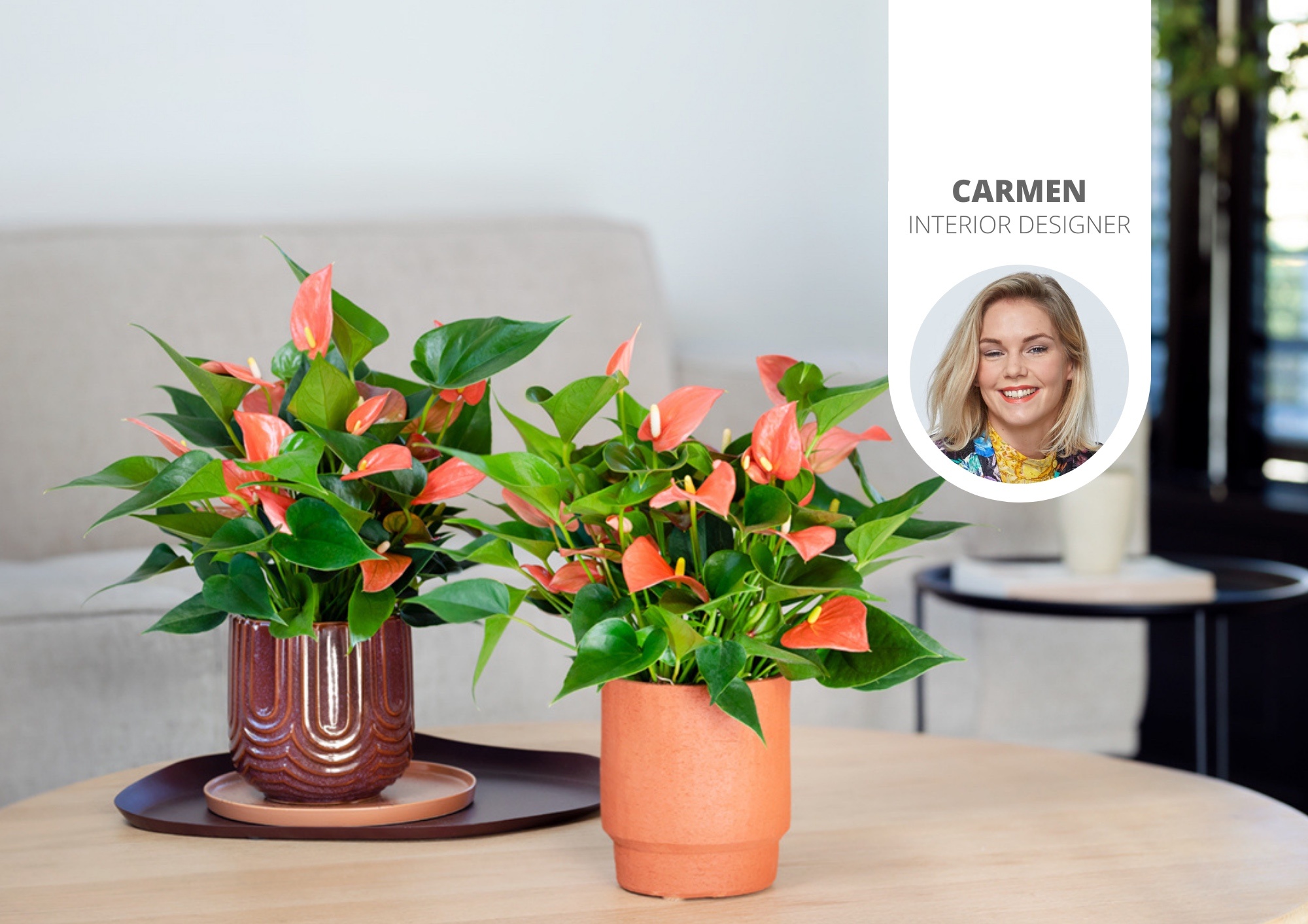 Style Trend 2024 Meaningful Earth: a primitive interior with robust ...