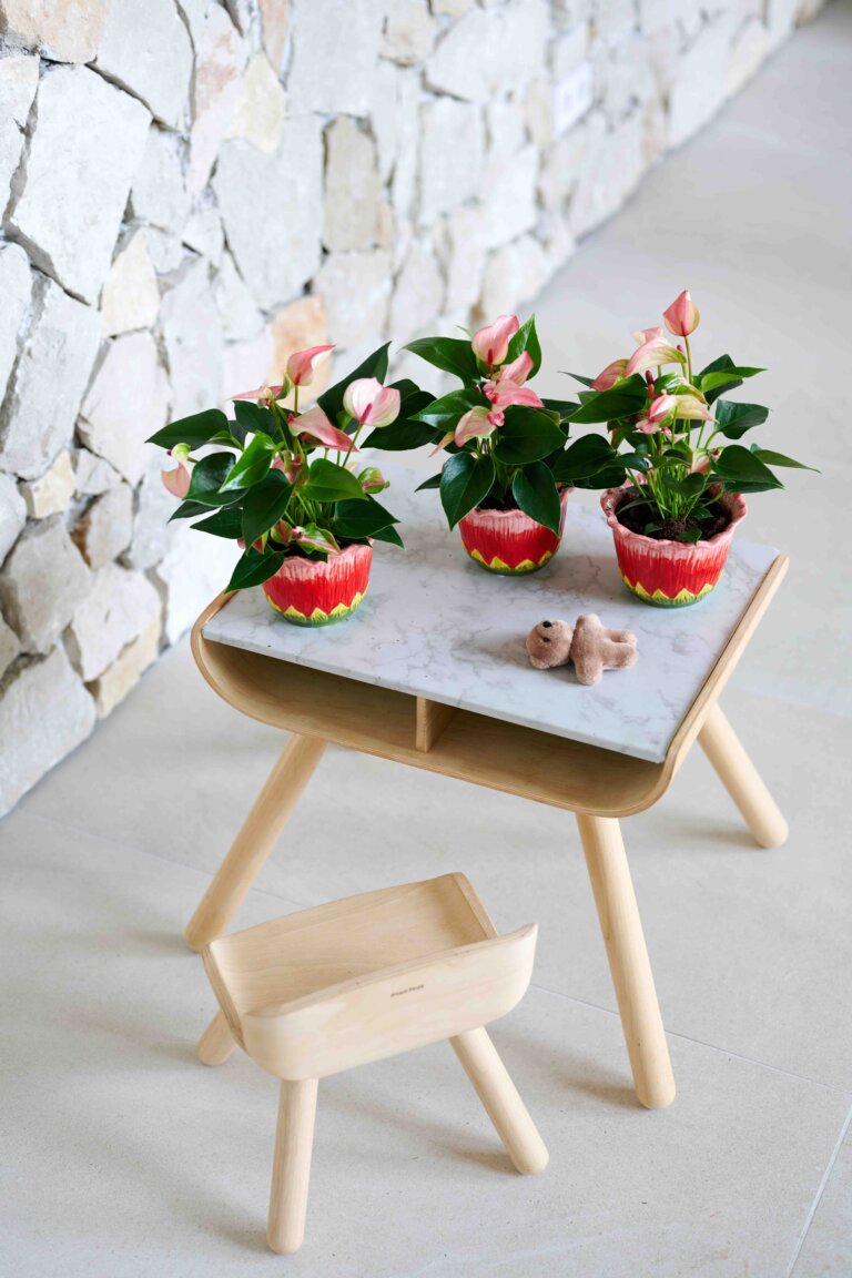 Styling Mini-Anthuriums: a green accent for every nook