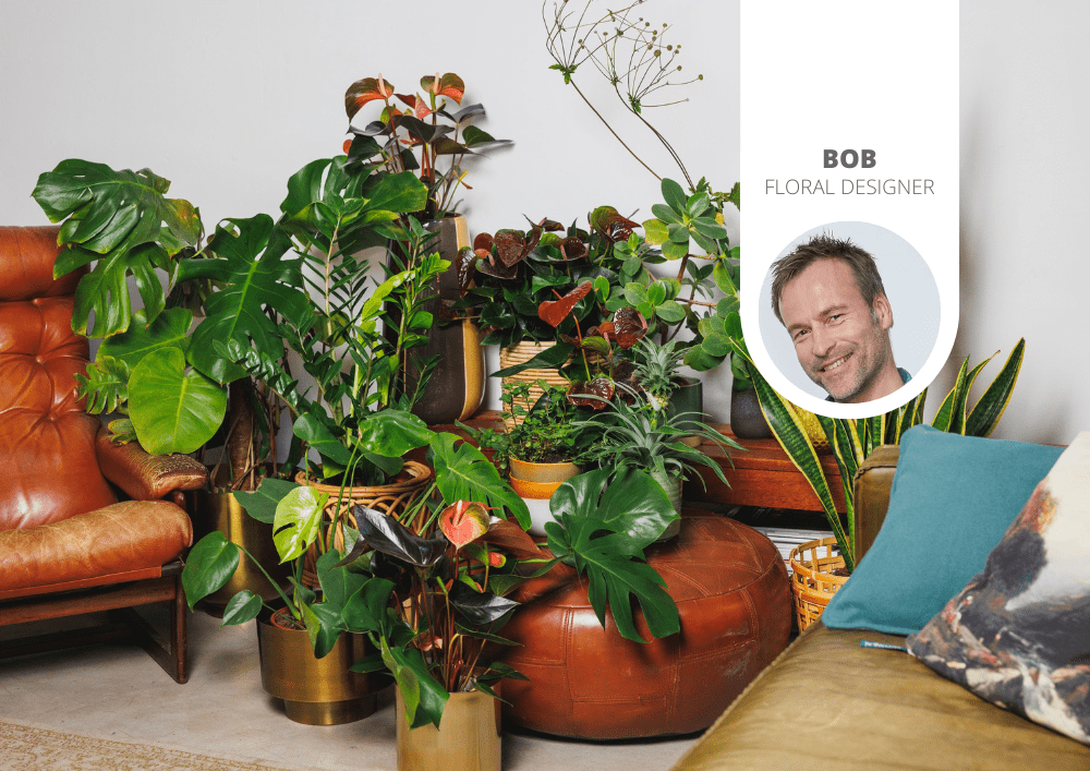How to style houseplants in your interior: 3 tips