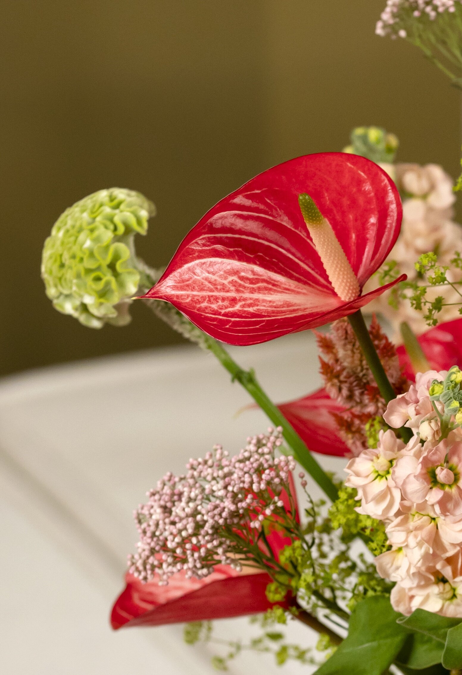 Cut Anthuriums: A Sustainable Choice for Flower Lovers