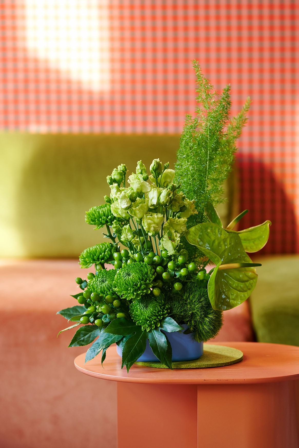 Asparagus Densiflorus Meyers Aralia Hypericum Coco Bamboo Chrysanthemum ...
