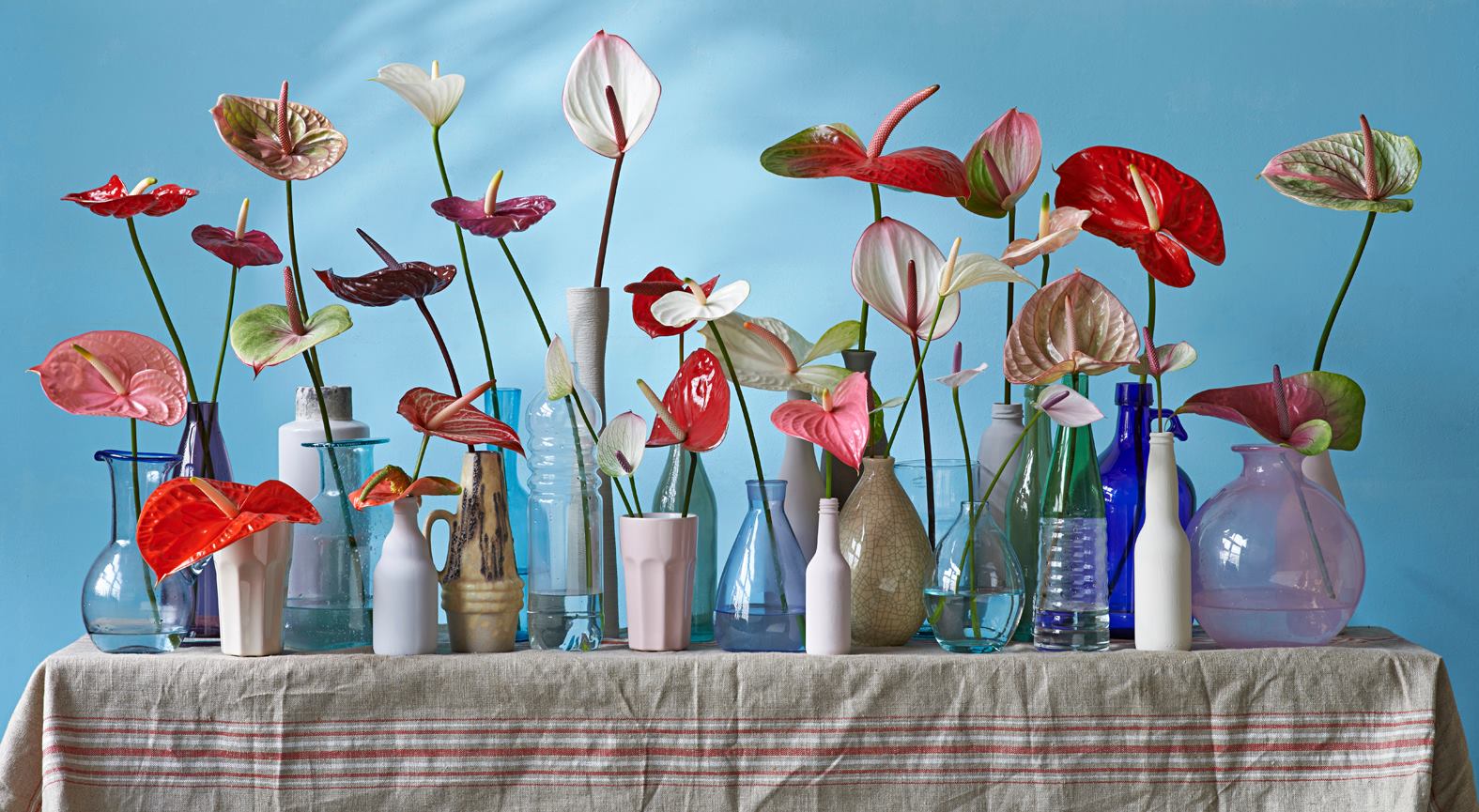 3 façons créatives de fleurir votre intérieur