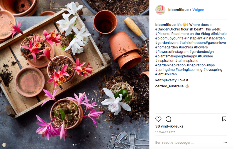 6 comptes Instagram plein d’idées pour les amateurs de fleurs