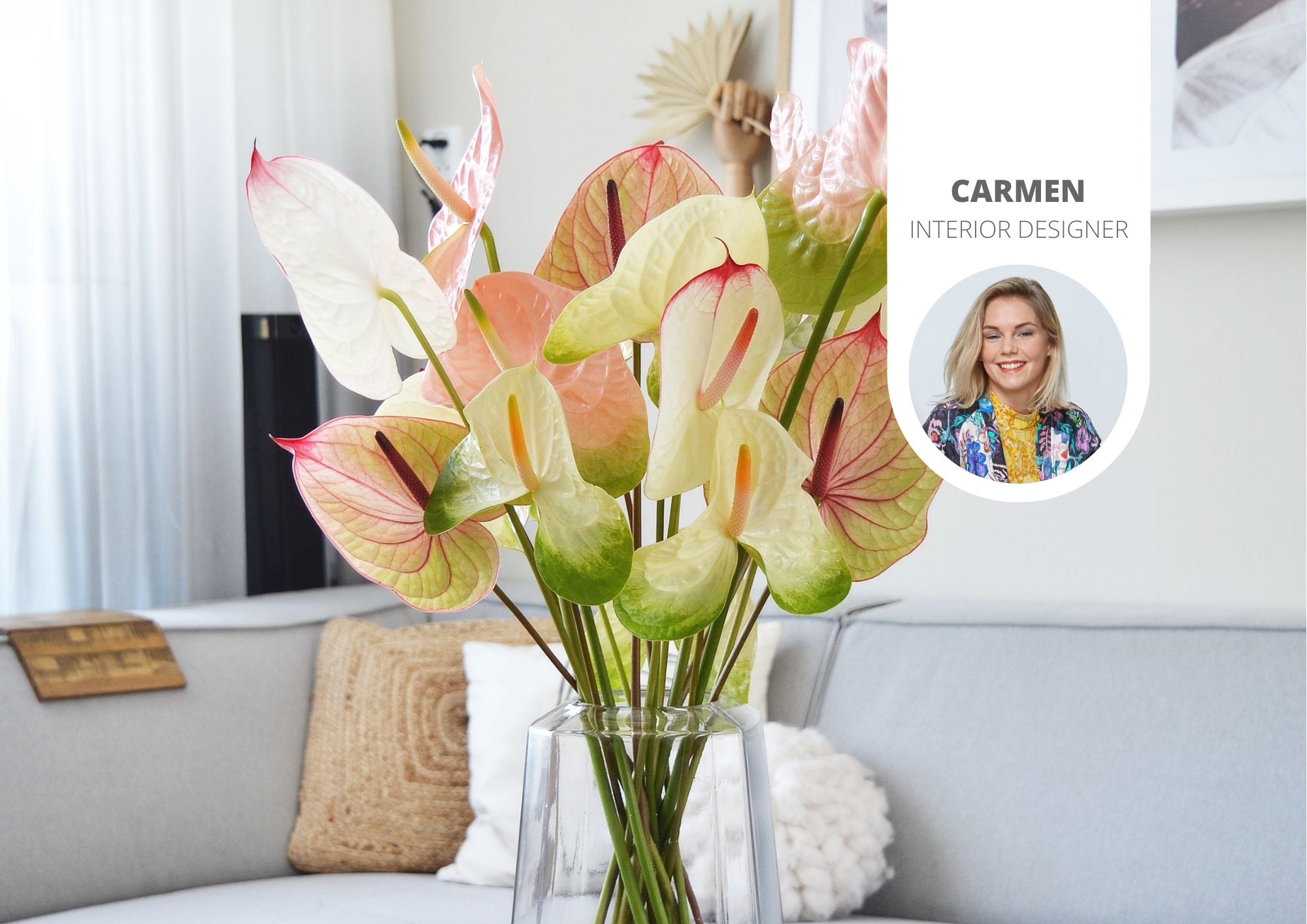 Inspiration anthurium : pour 3 intérieurs différents