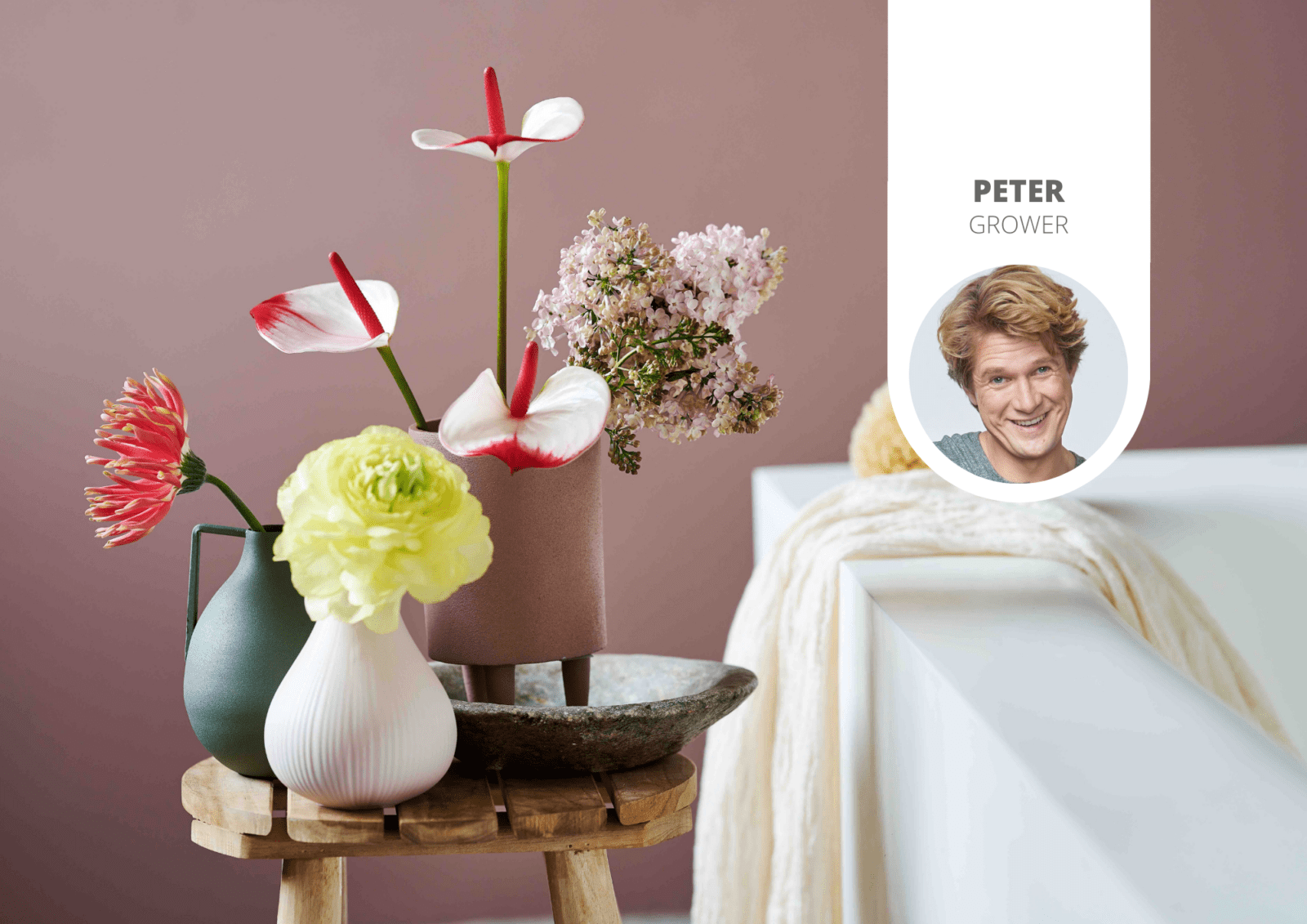 Élégante et durable : la fleur d’anthurium jouit d’une longue durée de vie