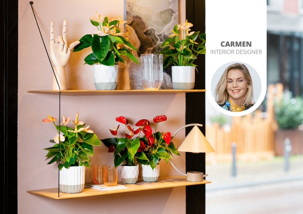 Déco avec des mini-anthuriums : une touche de verdure pour chaque recoin
