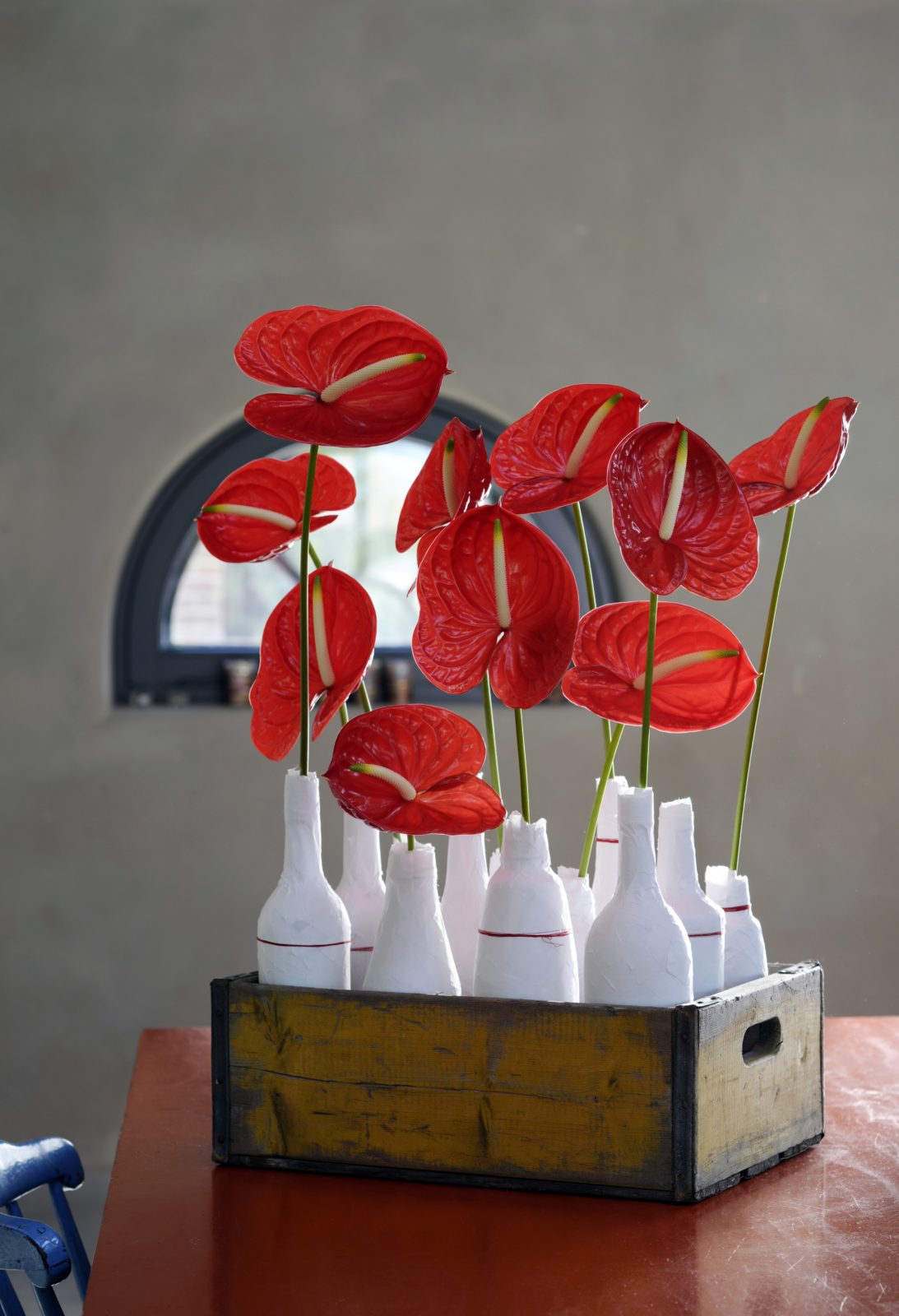 Alles over de klassieke hartvormige anthurium bloem