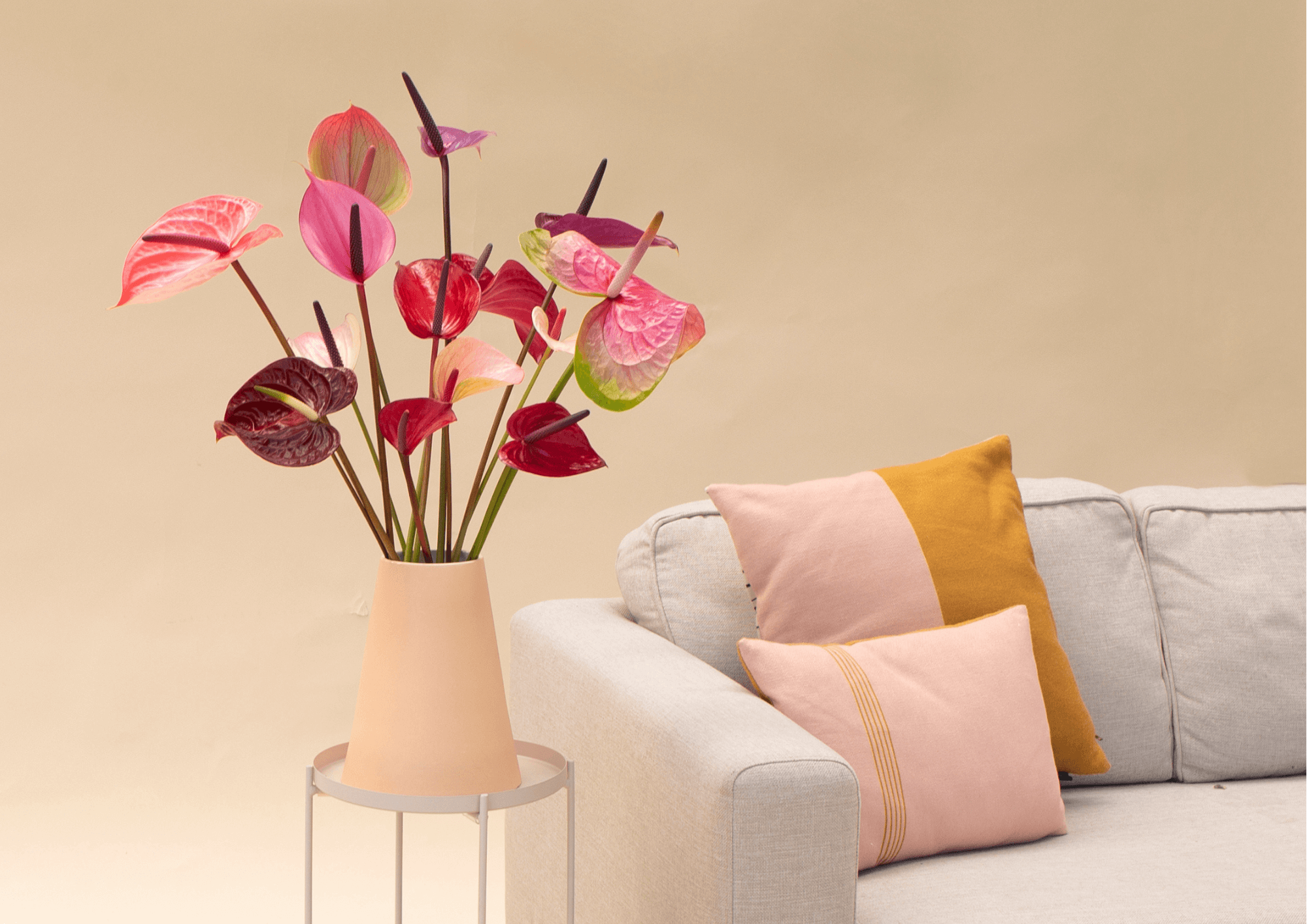 Nu verkrijgbaar: Bloomon Mono boeket met anthuriums
