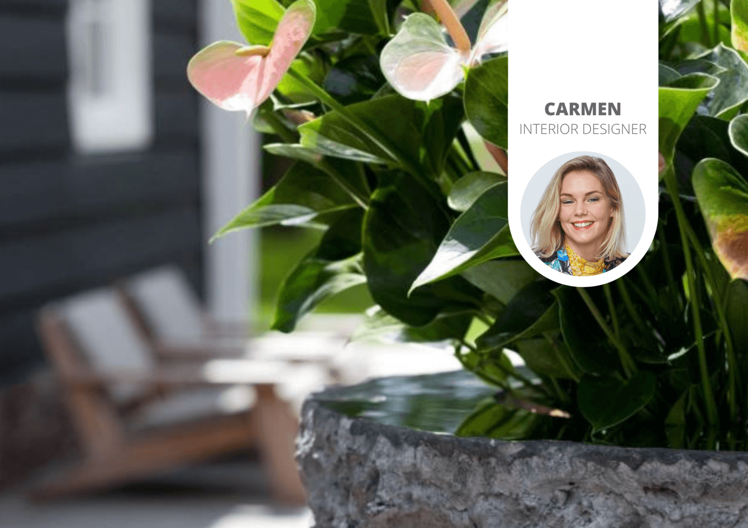 Kan een anthurium buiten staan?