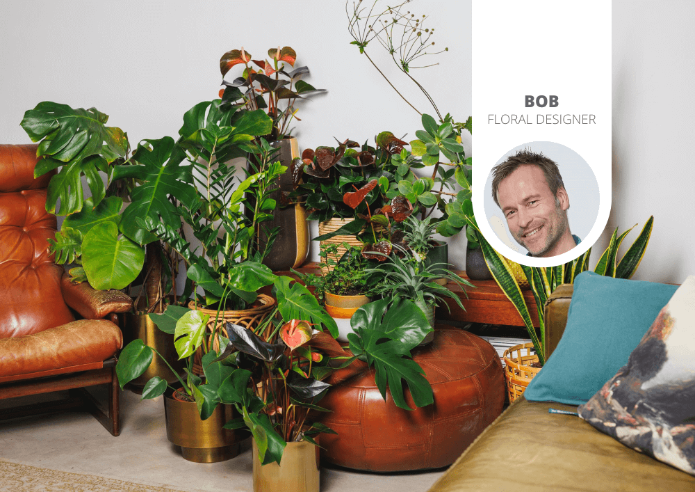 3 tips voor het stylen van kamerplanten in je interieur