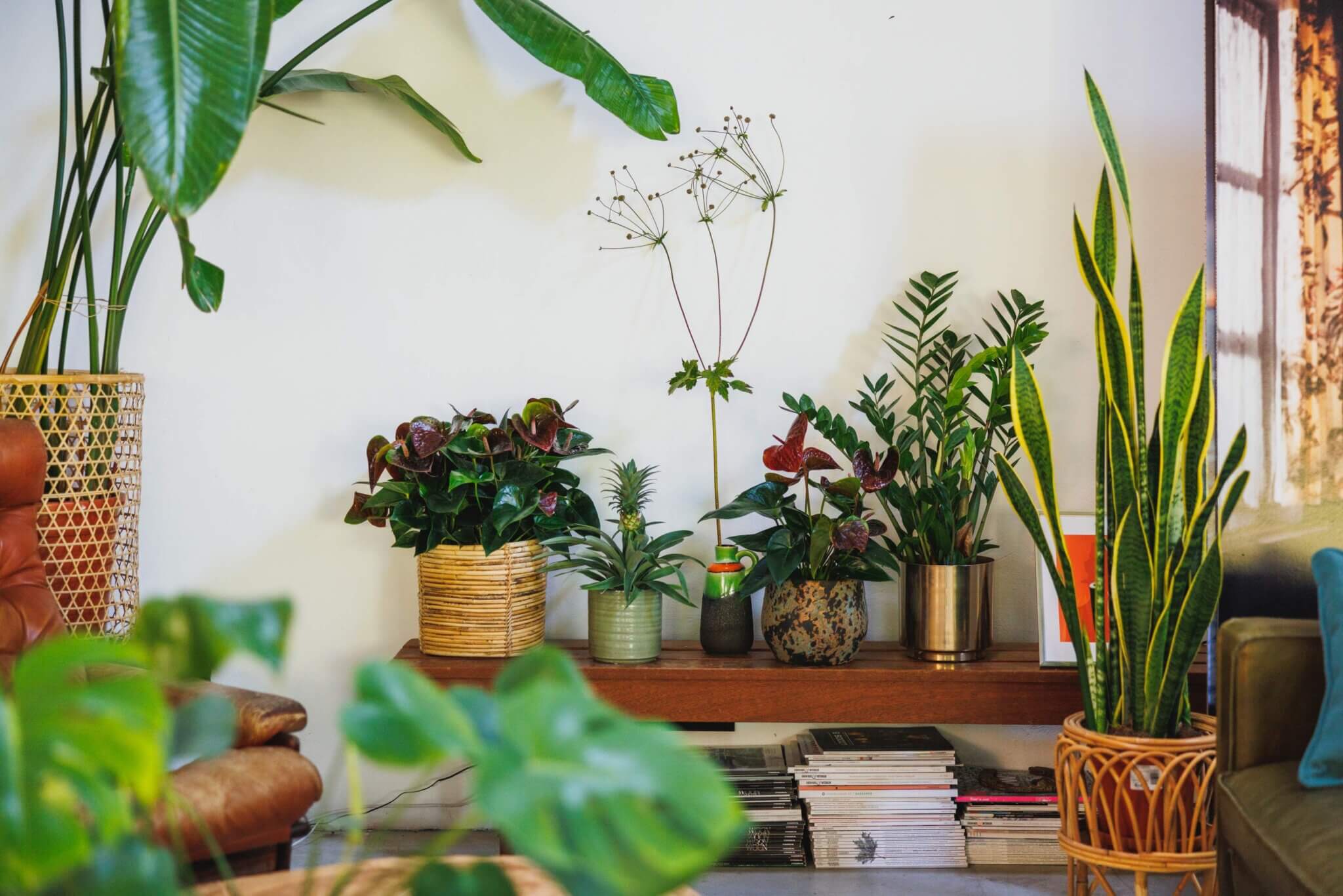 3 tips voor het stylen van kamerplanten in je interieur